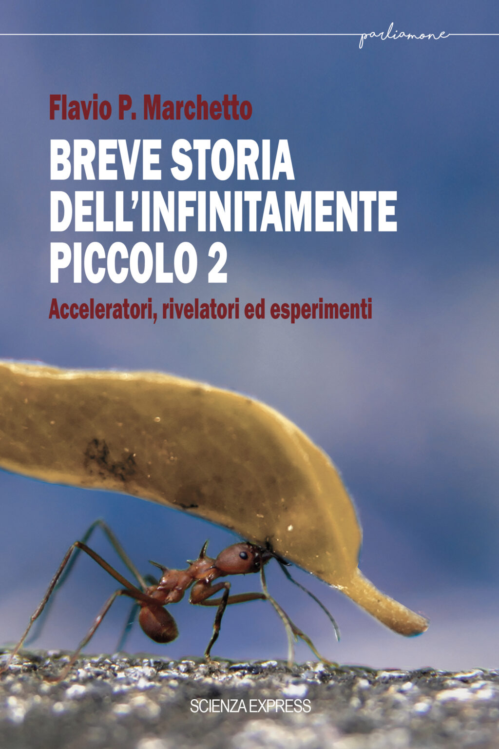 Breve storia dell’infinitamente piccolo 2 – Scienza Express edizioni